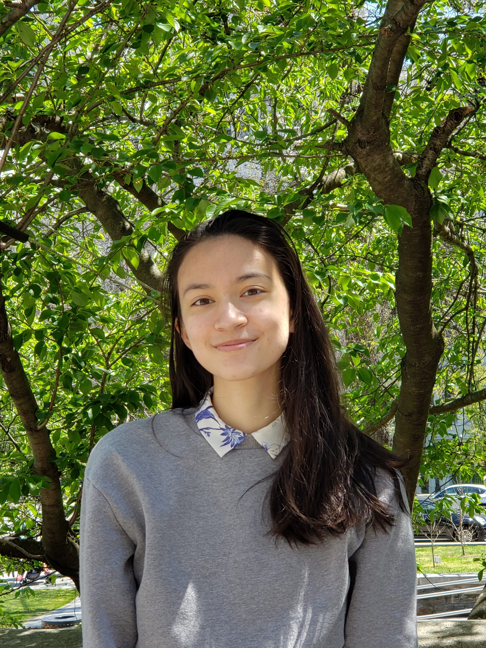 Chemical Engineering Student Works on Safe Battery Development During ...